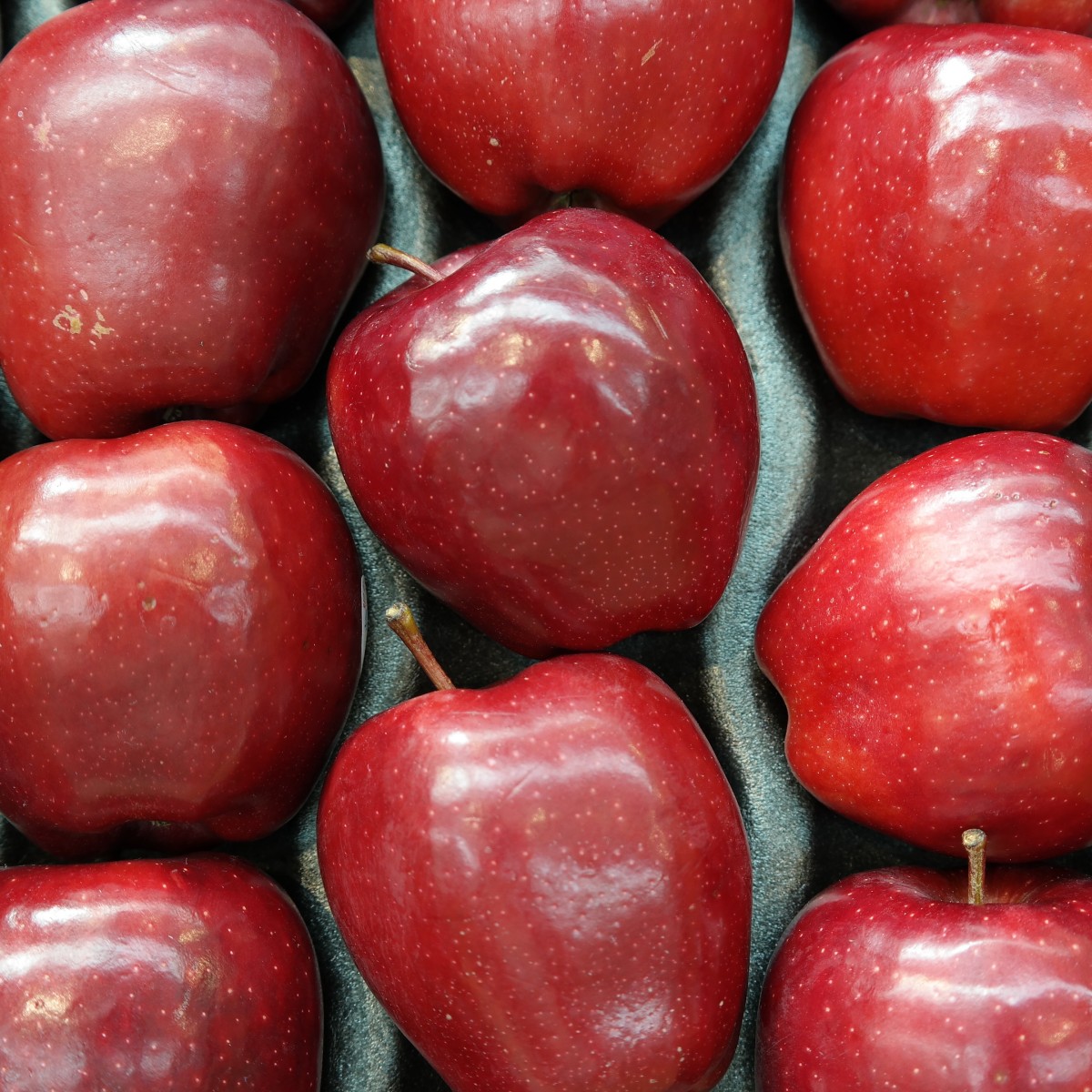 Manzanas Web Oficial de Turismo de la Provincia de Ávila