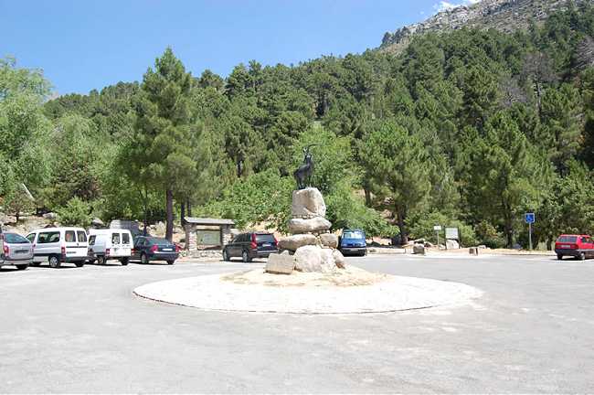 Plataforma Nogal de Gredos Web Oficial de Turismo de la Provincia de Ávila